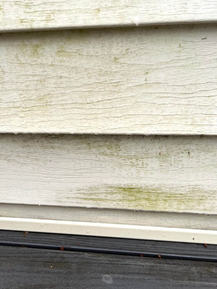 Best Homemade Vinyl Siding Cleaner (Eco-Friendly) - The DIY Nuts