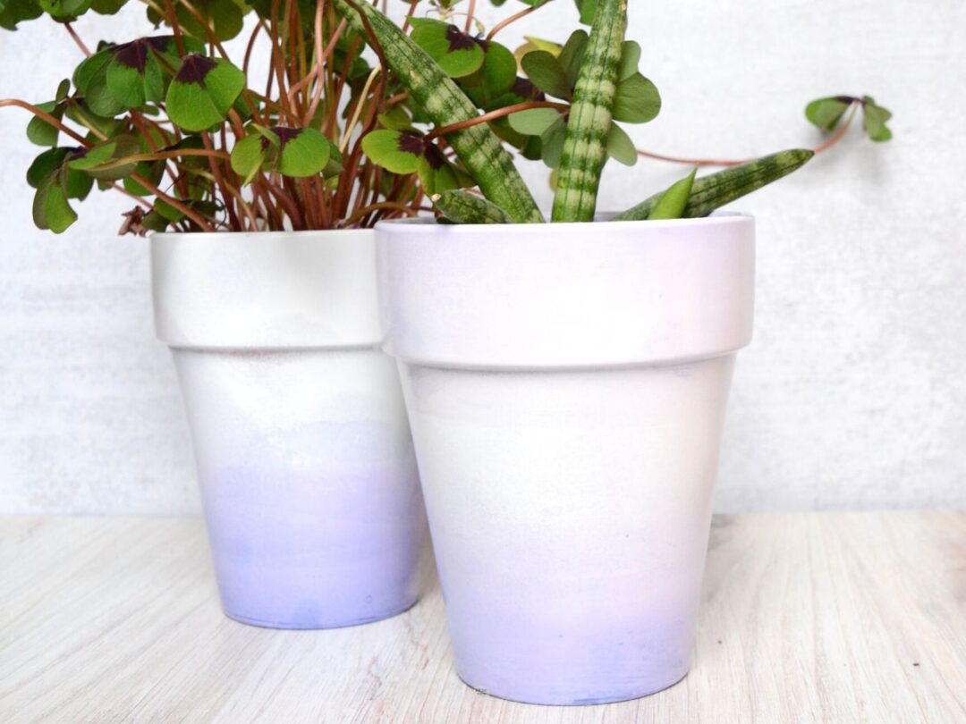 31+ Fun and Creative Painted Flower Pot Designs - The DIY Nuts